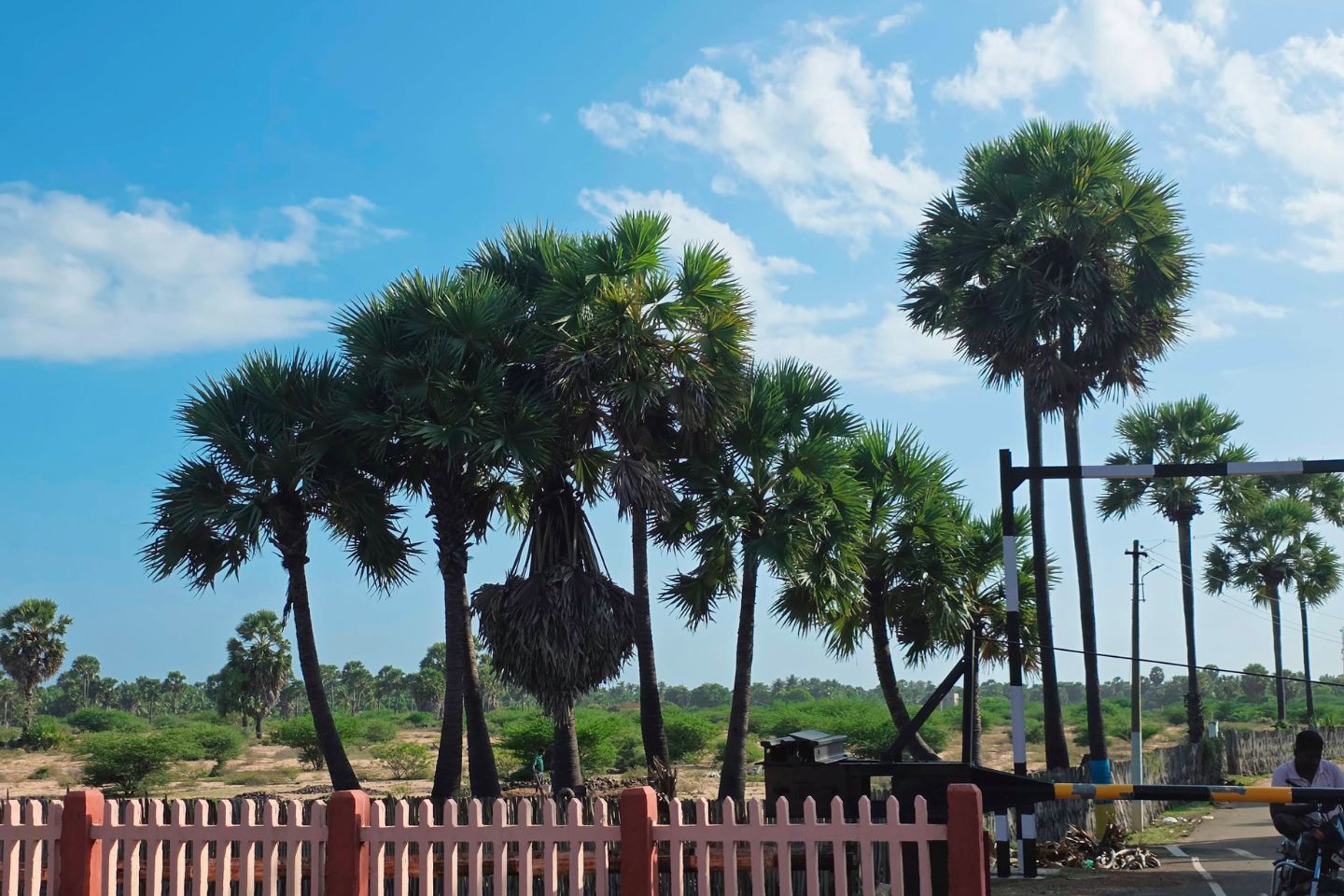 Kushi Beach / Ariyaman Beach in Rameshwaram (History, Importance ...